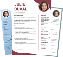 Exemple de CV auxiliaire de vie sociale ou aide à domicile
